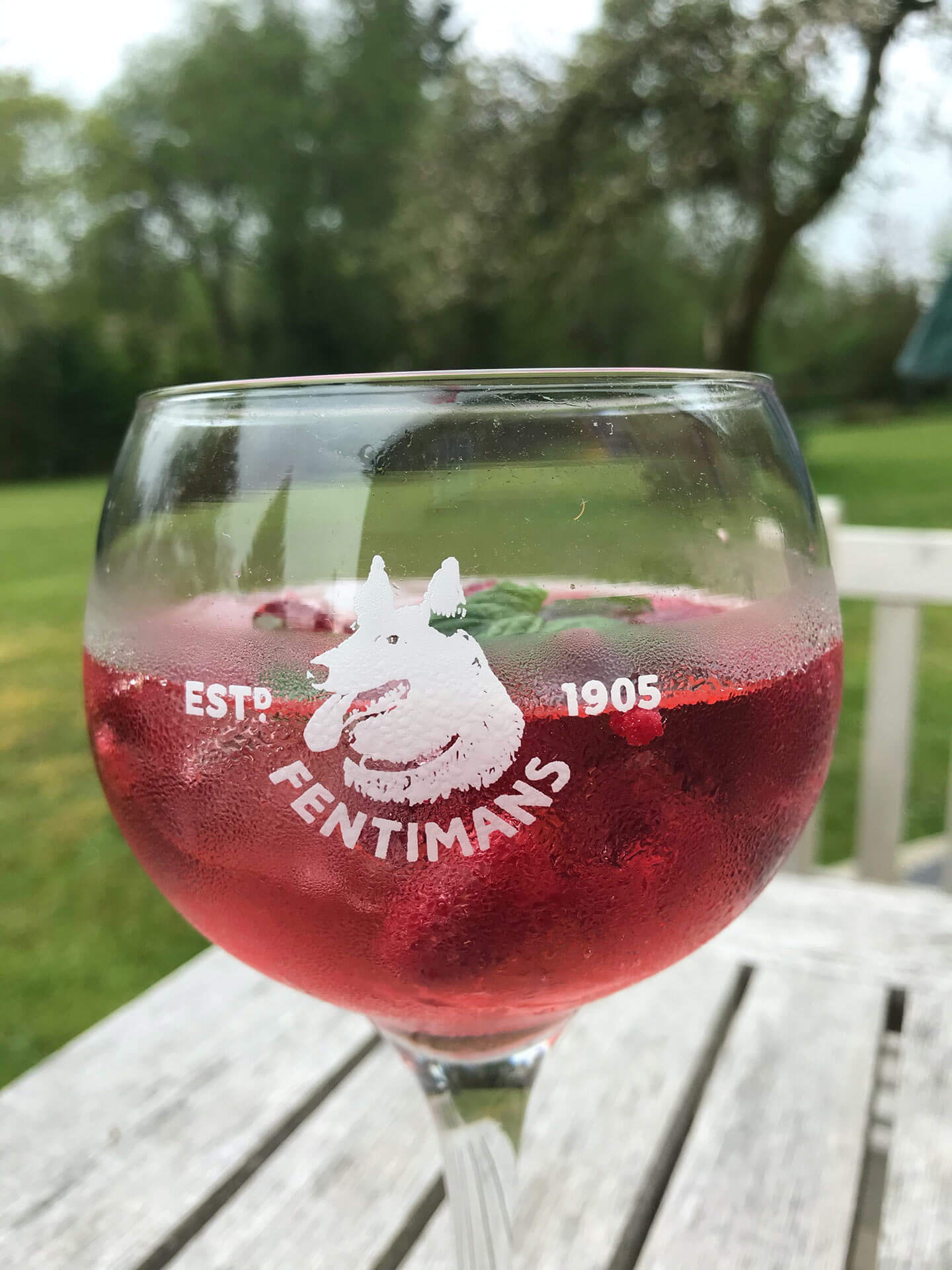 Cocktails with Secret Ingredients – The Brechfa Blush - Tŷ Mawr Country ...